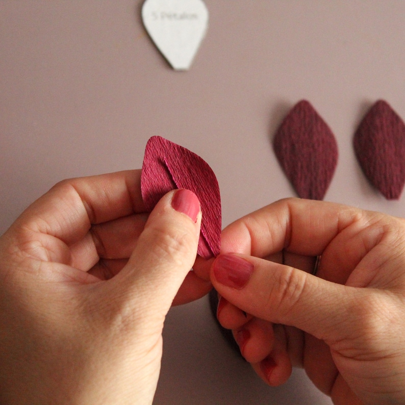 Set of Crepe Paper Flowers Tutorials Paper Flowers Templates - Etsy