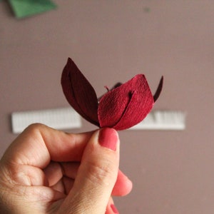 Set of Crepe Paper Flowers Tutorials, Paper Flowers Templates, Svg ...