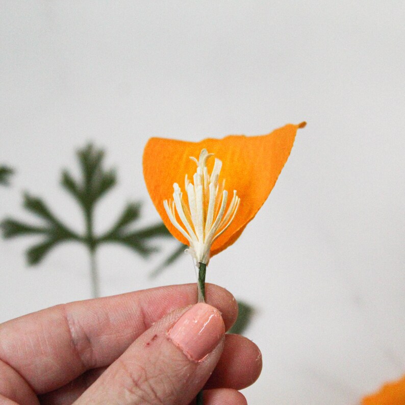 Crepe Paper California Poppy Template, SVG Files and PDF Pattern, Video ...