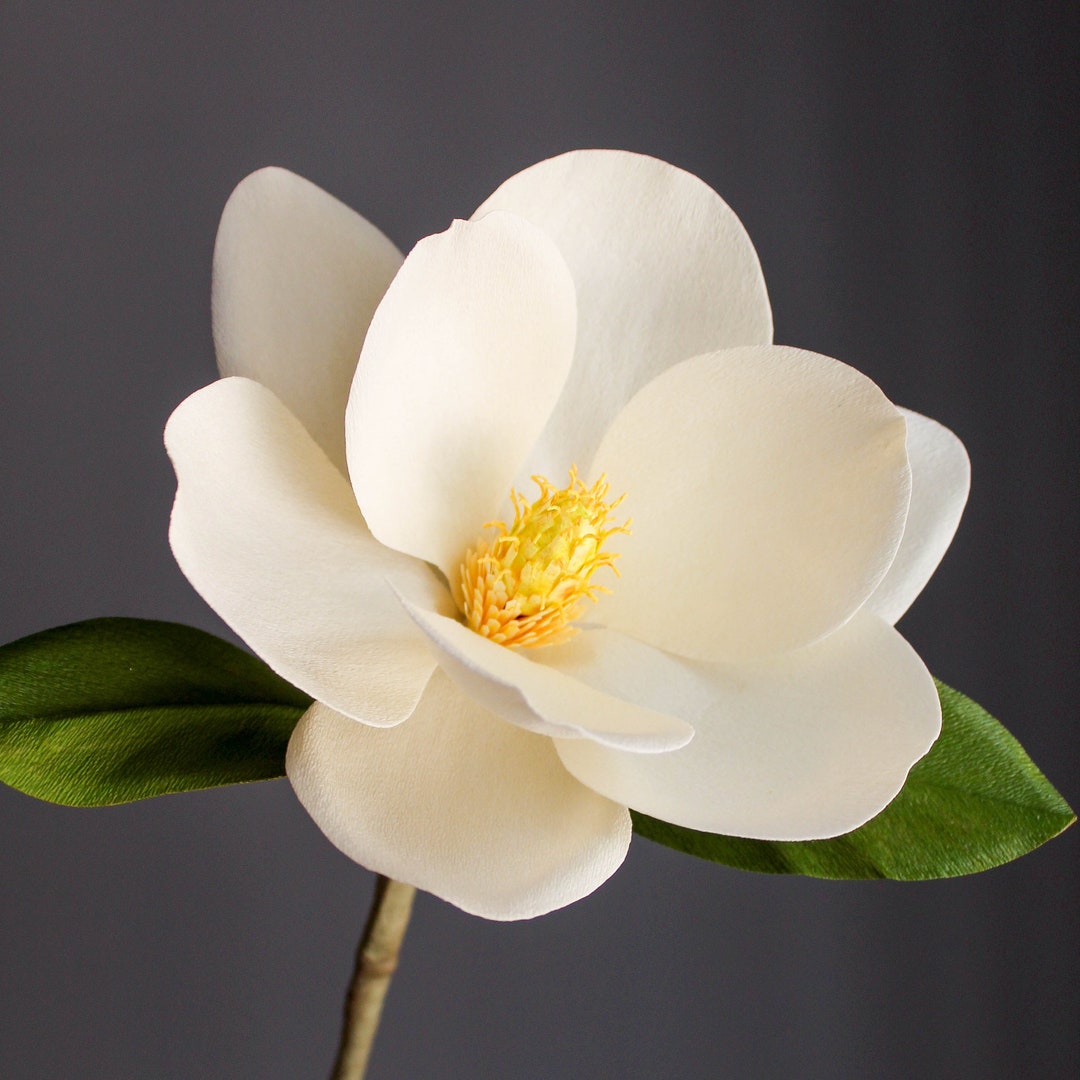 Crepe Paper Flowers Magnolia Stems, Realistic Paper Flowers, Paper ...