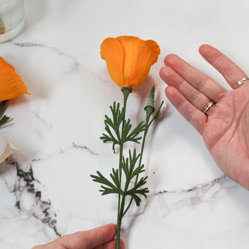 Crepe Paper California Poppy Template, SVG Files and PDF Pattern, Video ...