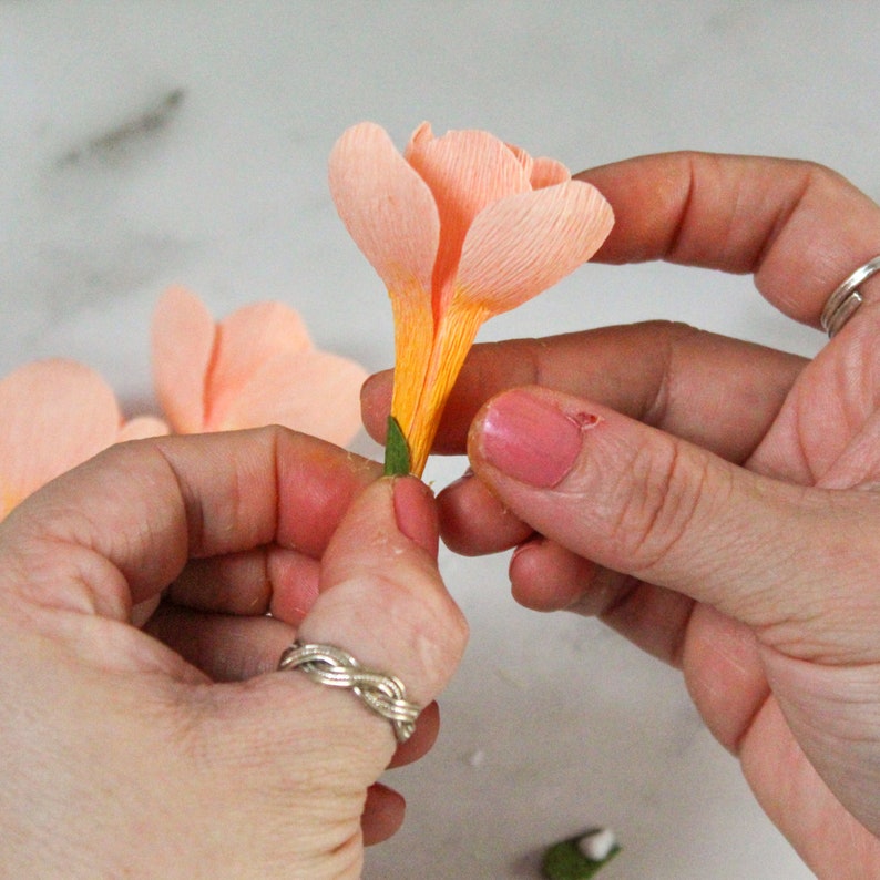 Crepe Paper Freesia Flower Template, SVG Files and PDF Pattern, Video ...