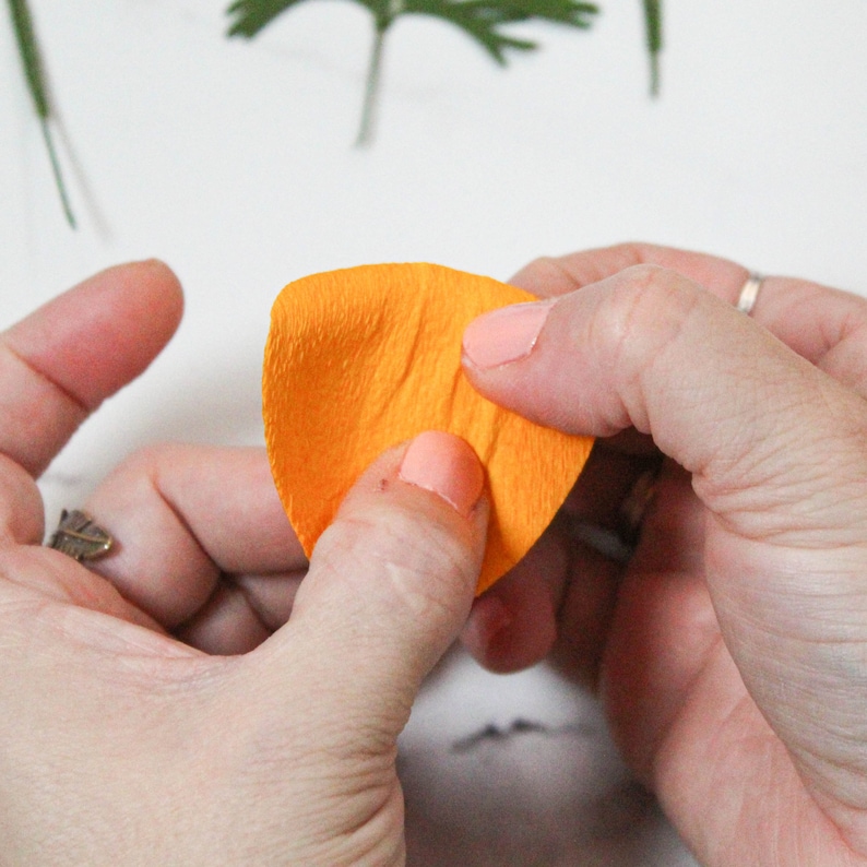 Crepe Paper California Poppy Template, SVG Files and PDF Pattern - Etsy