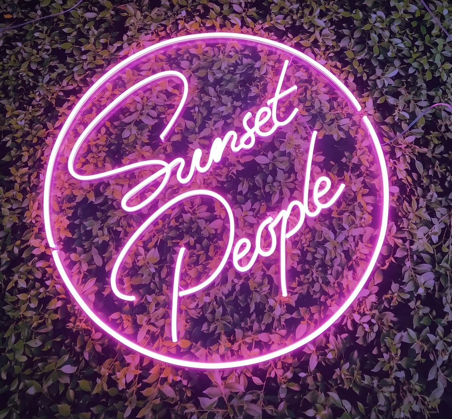 Custom Neon Sign for Store - Etsy