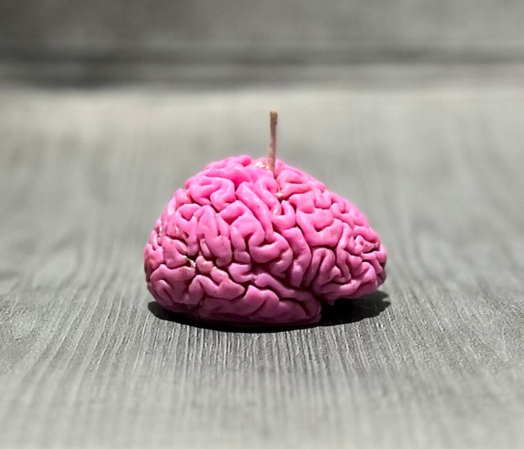 Mini Human Brain Candle, Horror Decor, Creepy Candle, Gothic Gift ...