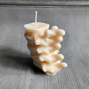 Spine Candle, Bone Candle, Vertebrae Candle, Gothic Gift, Gothic Home ...
