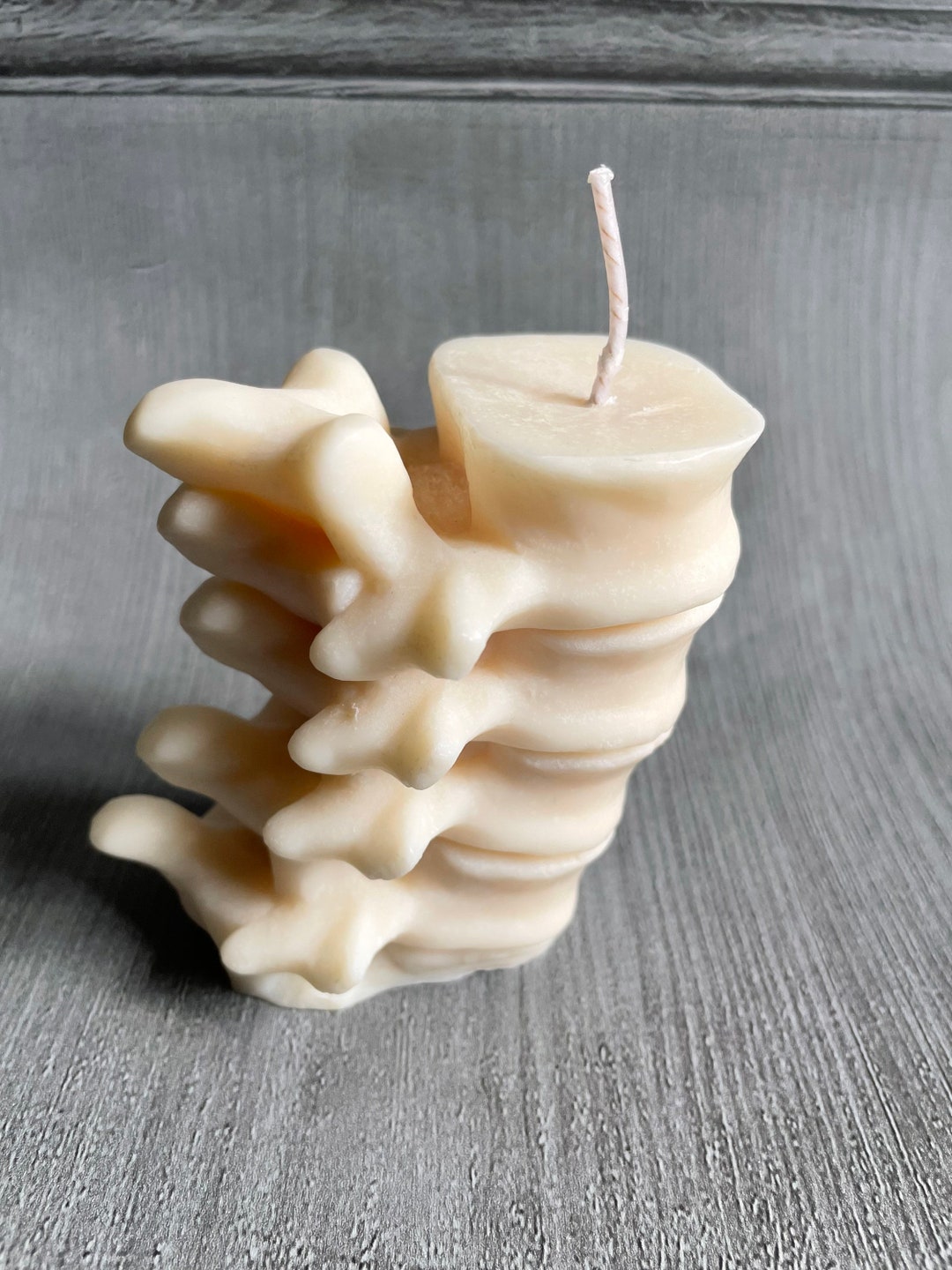 Spine Candle, Bone Candle, Vertebrae Candle, Gothic Gift, Gothic Home ...