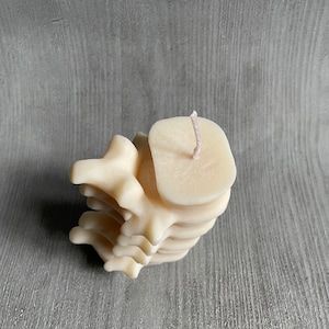 Spine Candle, Bone Candle, Vertebrae Candle, Gothic Gift, Gothic Home ...