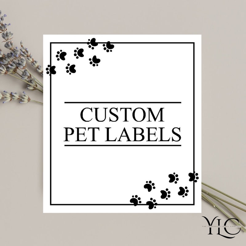 Cat Food Sticker Decal - Etsy UK