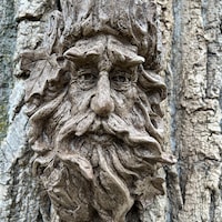 Tree Face - Etsy