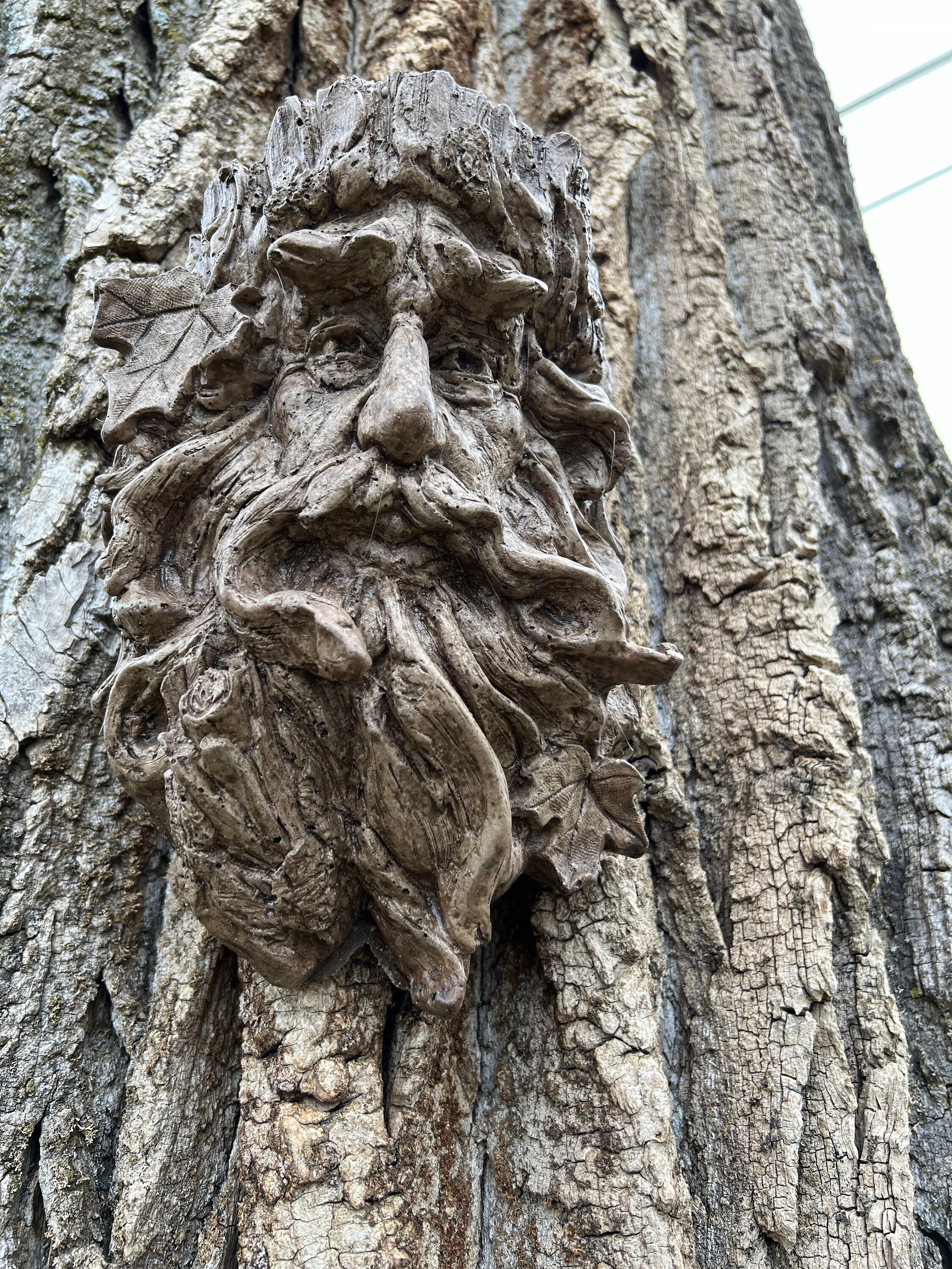 Green Man Plaque: Concrete Forest Face Garden Decor - Etsy