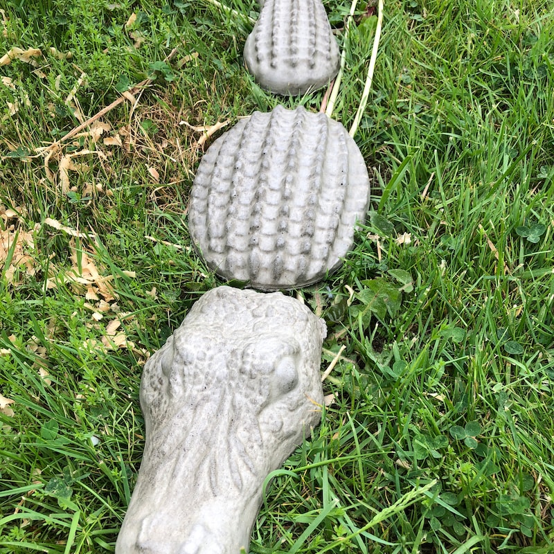 Alligator Planter - Etsy