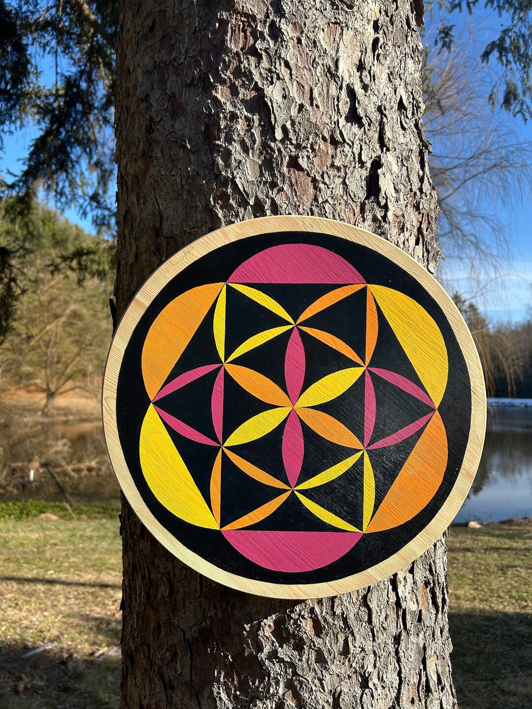 Sacred Geometry, Eternal Flower Pattern Hex Sign - Etsy
