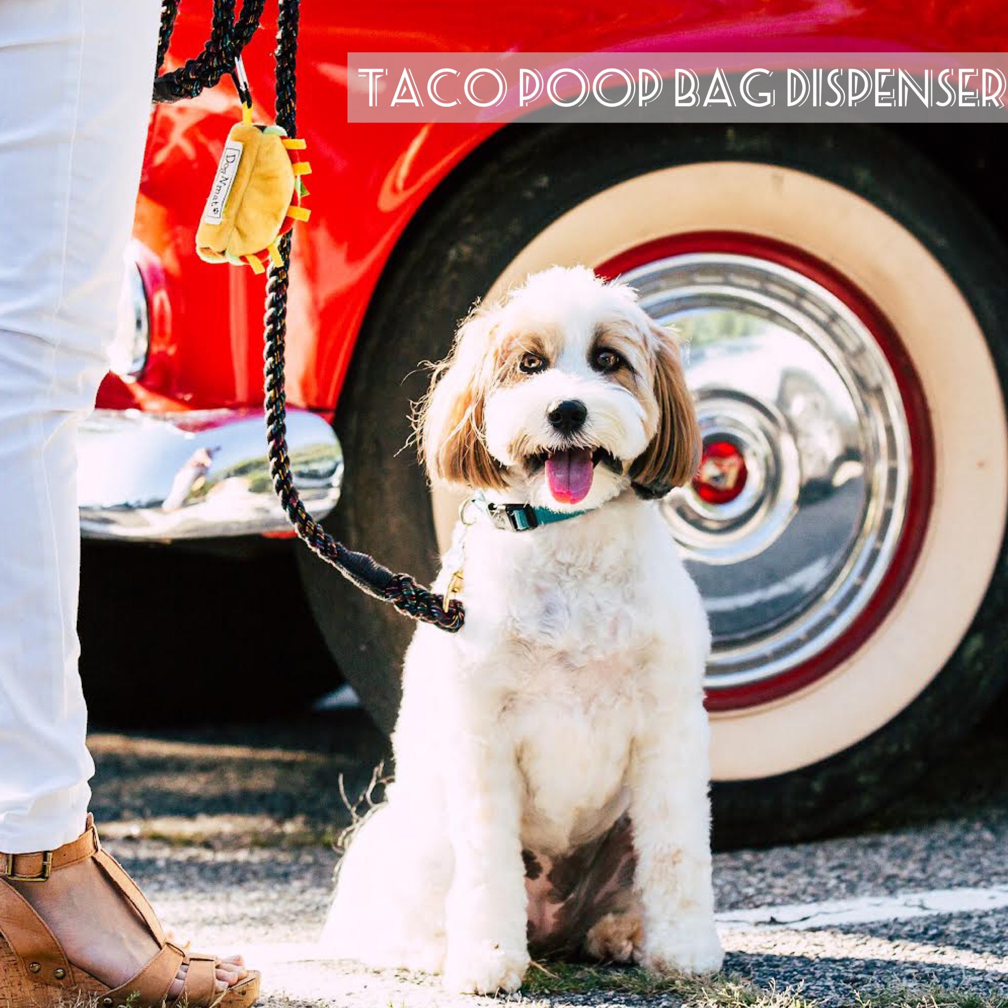 Taco Poop Bag Dispenser and Poop Holder 2 in 1 waste bag | Etsy