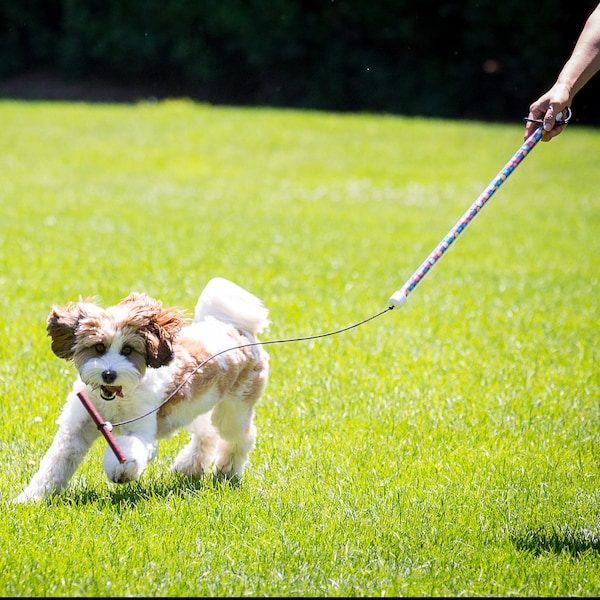 Flirt Pole Dog Toy - Etsy