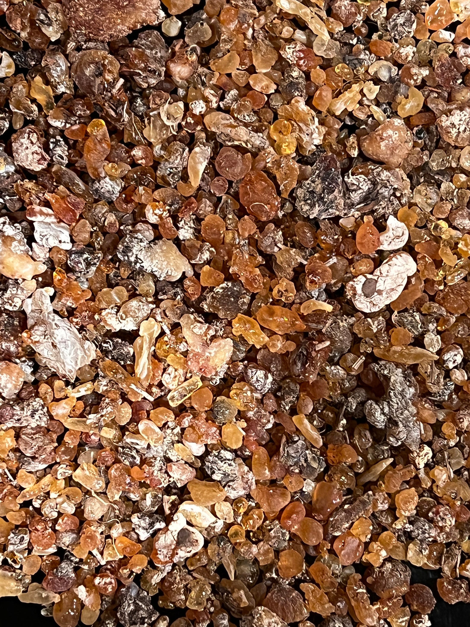 Ponderosa Pine Sap/ Resin - Etsy
