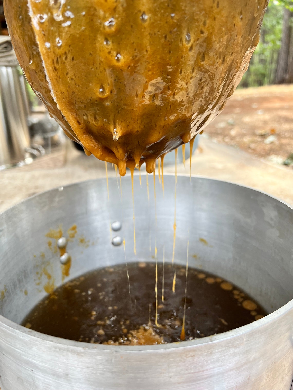 Ponderosa Pine Sap/ Resin - Etsy