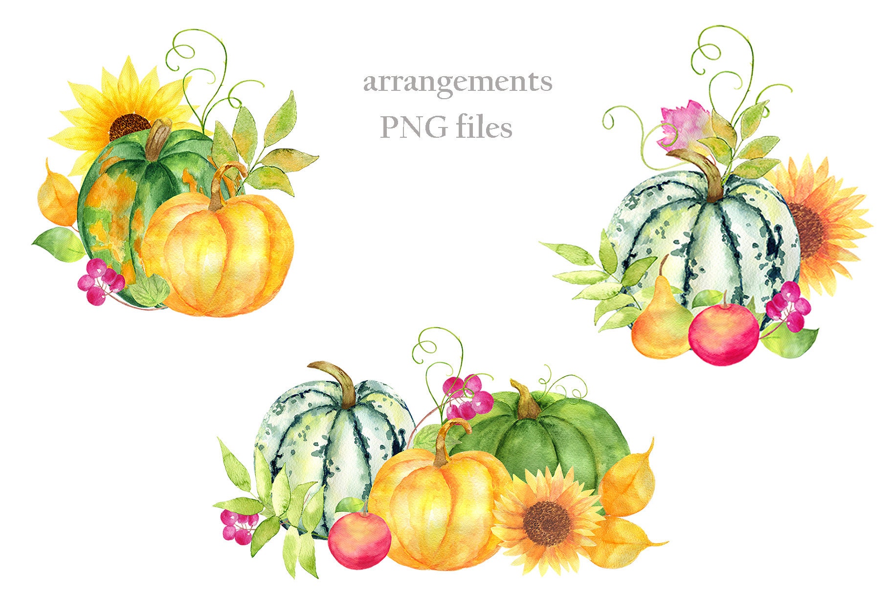 Watercolor Autumn Pumpkin Png Clipart. Orange and Green - Etsy