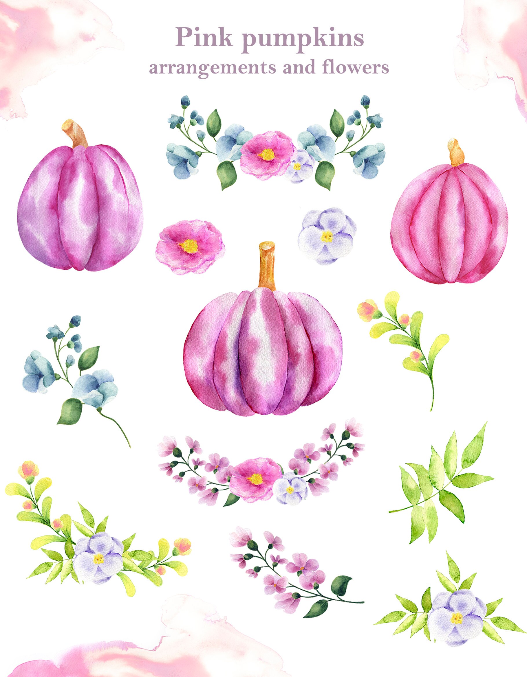 Pink Pumpkins Clipart.watercolor Pumpkins and Floral Digital - Etsy