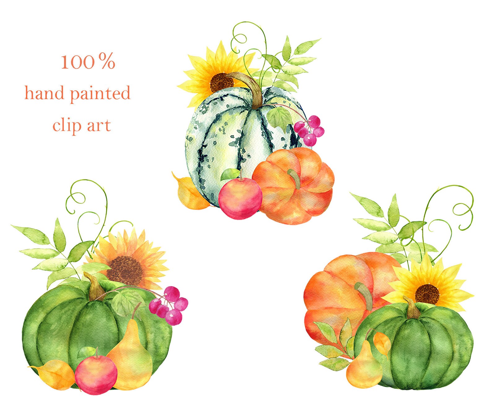 Watercolor Autumn Pumpkin Png Clipart. Orange and Green - Etsy