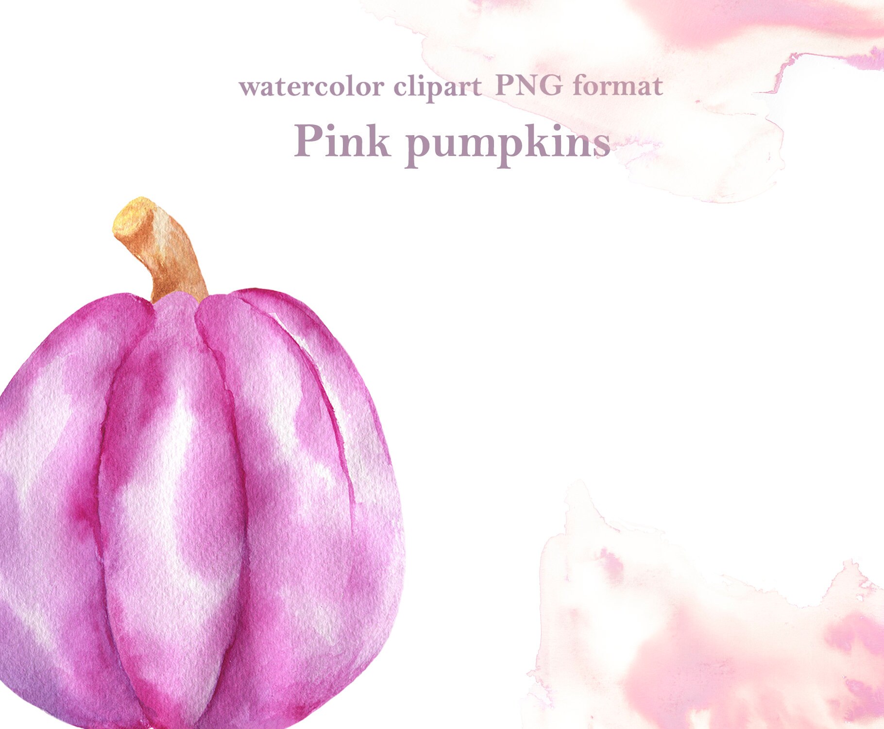 Pink Pumpkins Clipart.watercolor Pumpkins and Floral Digital - Etsy