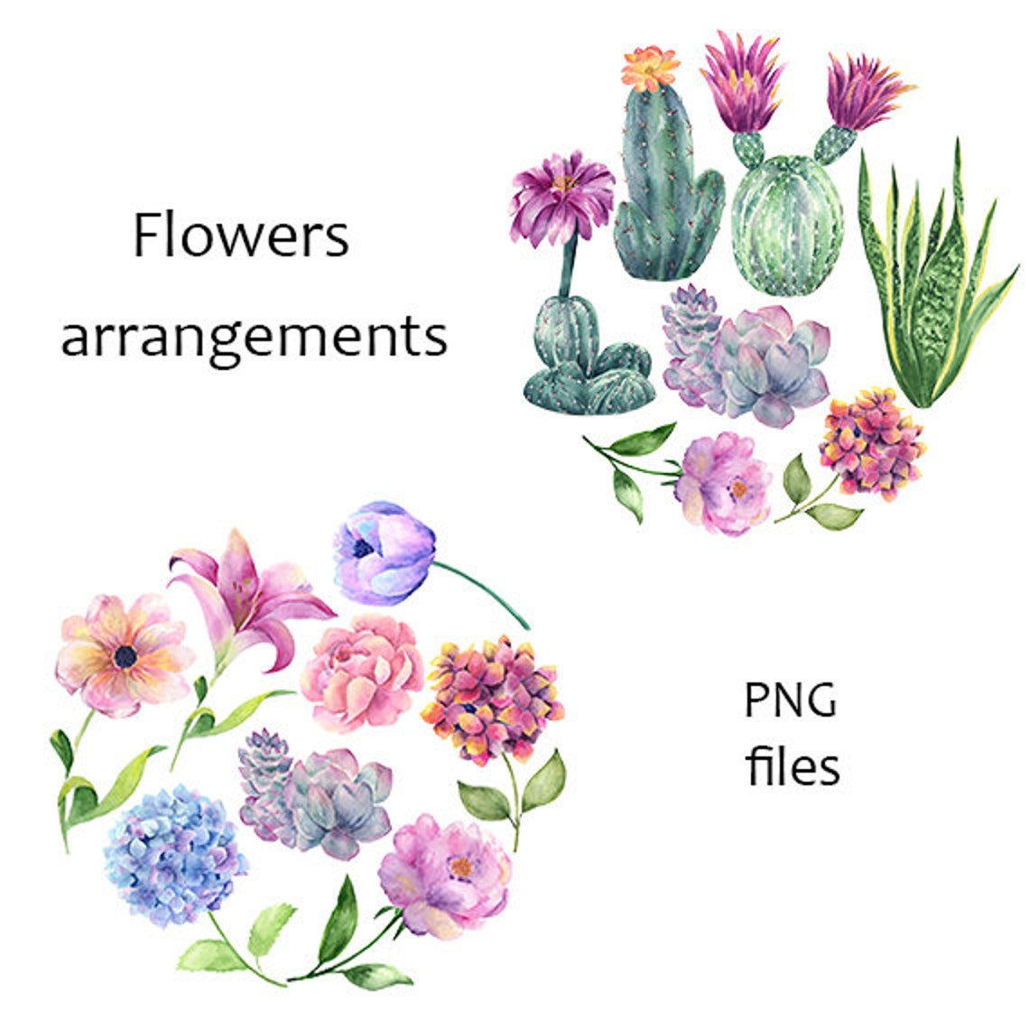 Watercolor Cactus and Flowers Clipart.watercolor - Etsy