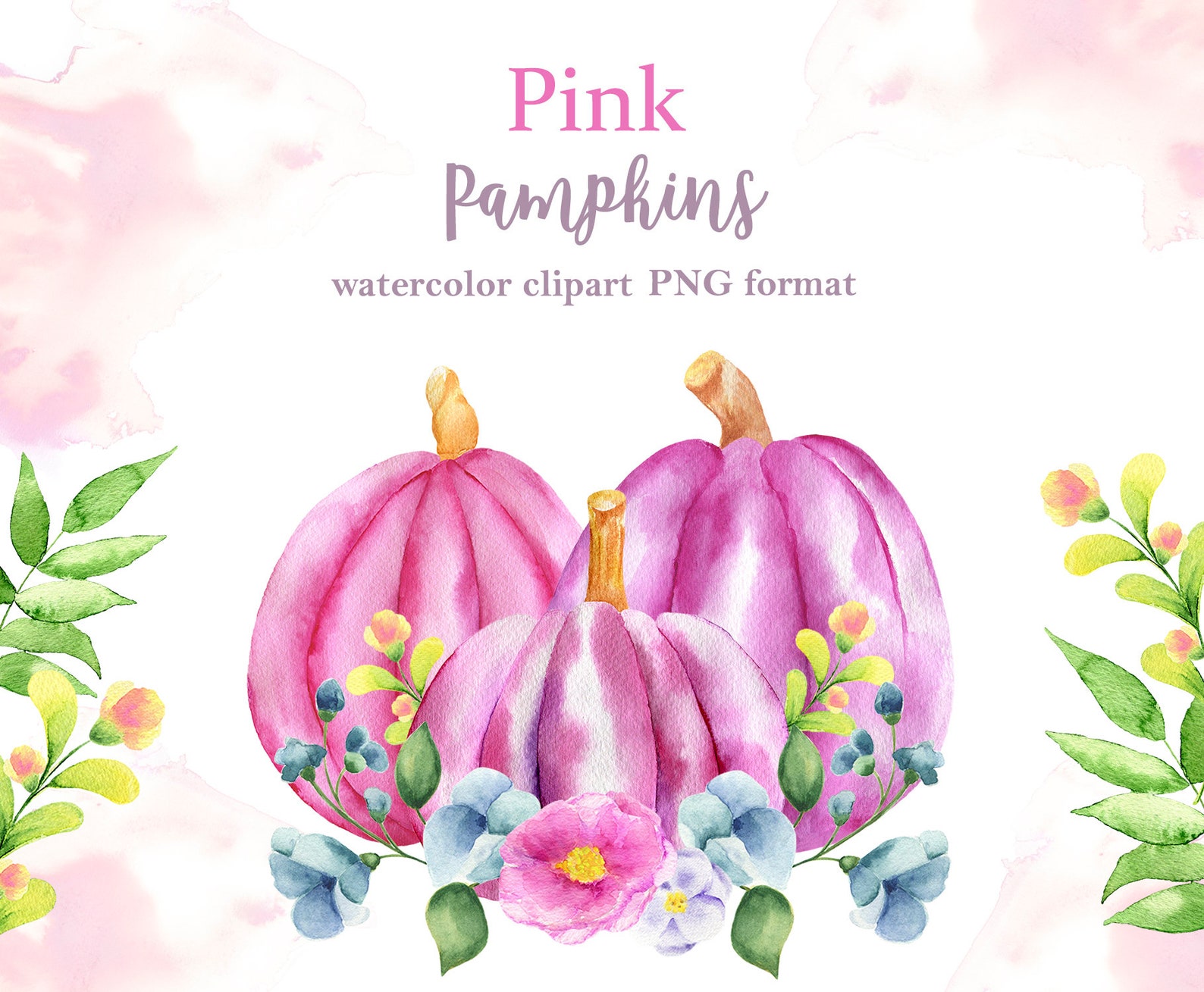 Pink Pumpkins Clipart.watercolor Pumpkins and Floral Digital - Etsy