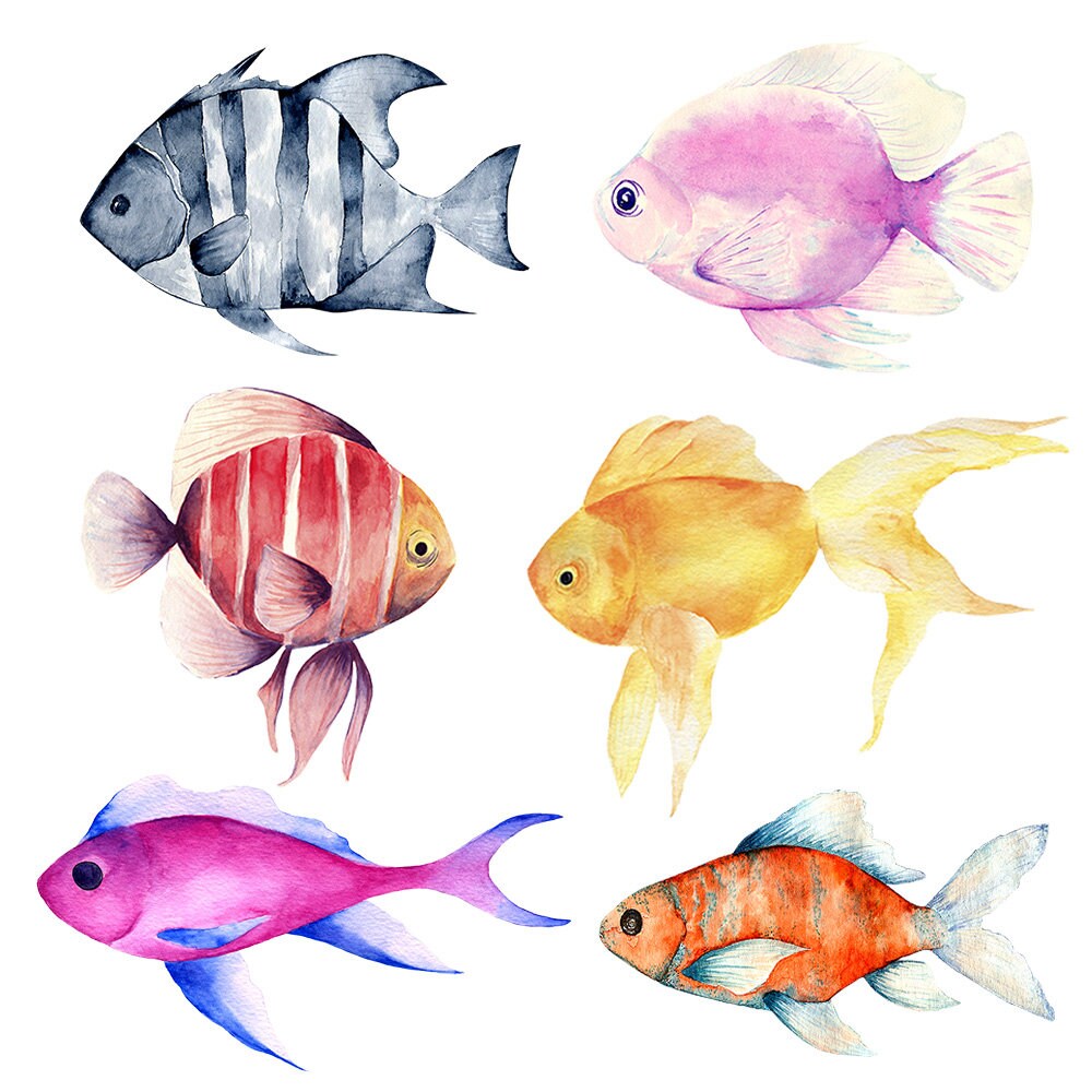 Watercolor Sea Life Clipart, Ocean Clip Art, PNG, Fish,nautical ...