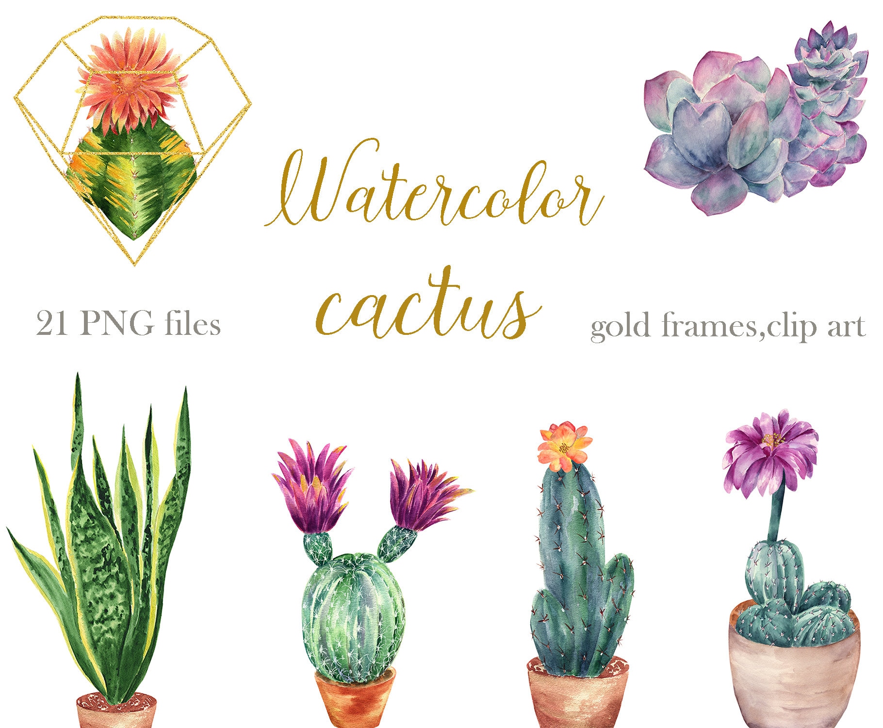 Watercolor Cactus and Flowers Clipart.watercolor - Etsy