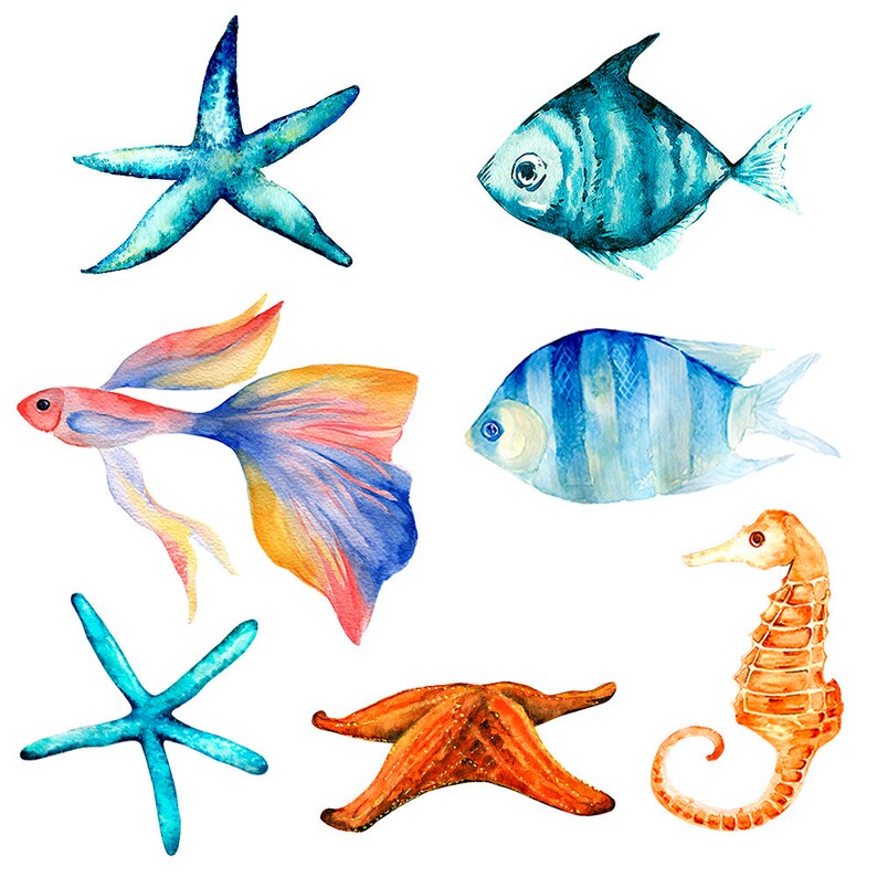 Watercolor Sea Life Clipart Ocean Clip Art PNG | Etsy