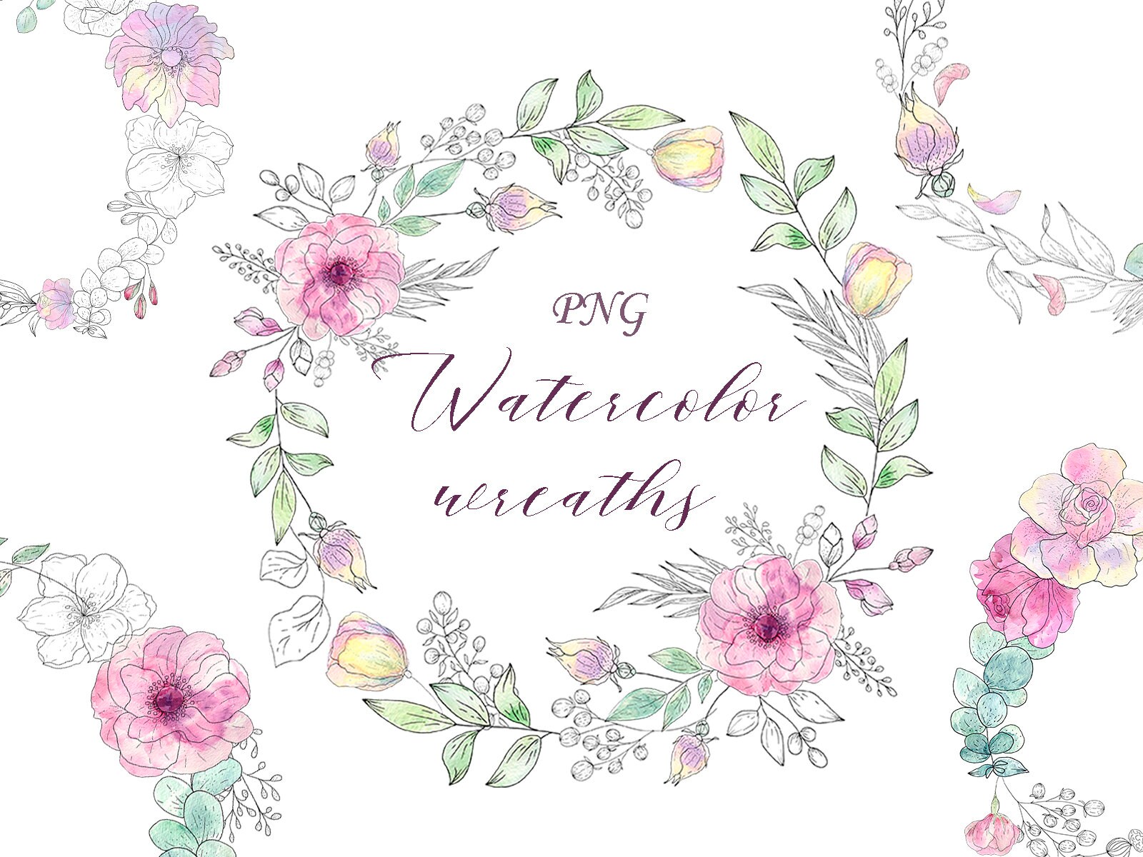 Roses Clipart,watercolor, Wreaths Clipart, Floral Clipart, Flower Png ...