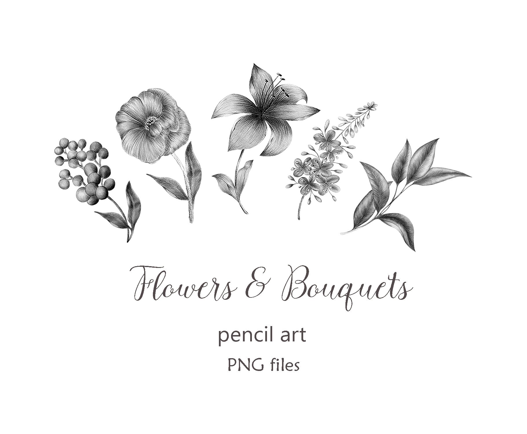 Pencil Floral Clipart, Hand Drawn Pencil Sketched, Floral Line Art ...