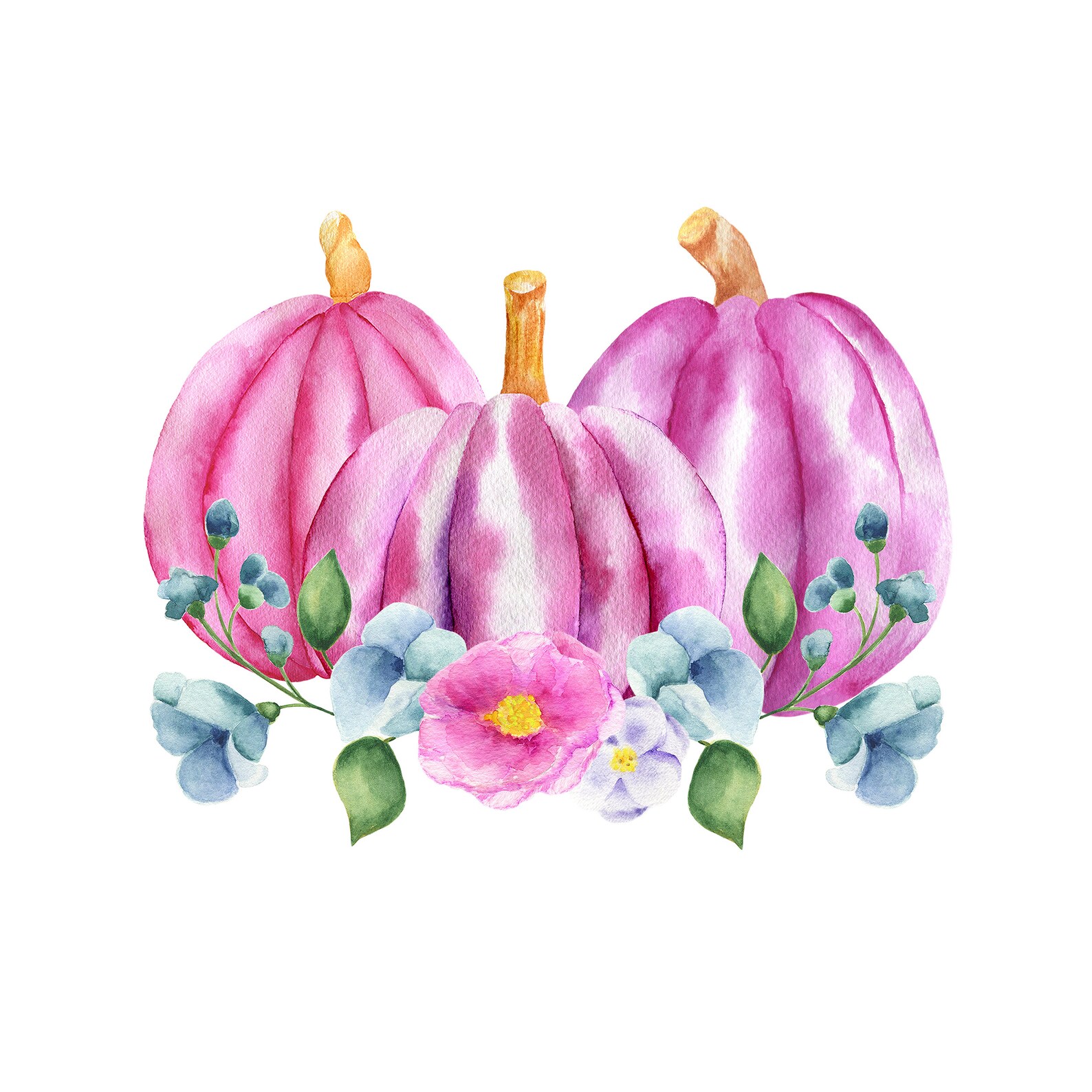 Pink Pumpkins Clipart.watercolor Pumpkins and Floral Digital - Etsy