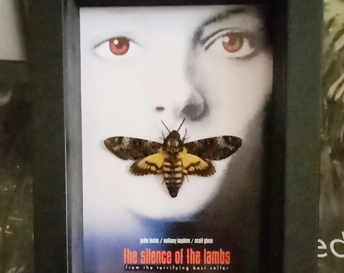 Silence of the Lamb, Real Death Head Hawk Moth, 25x19 Black Frame, Wall ...