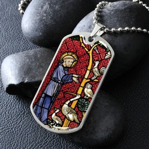 Patron of Animals, Patron of Ecology, Patron of Families, Patron of ...