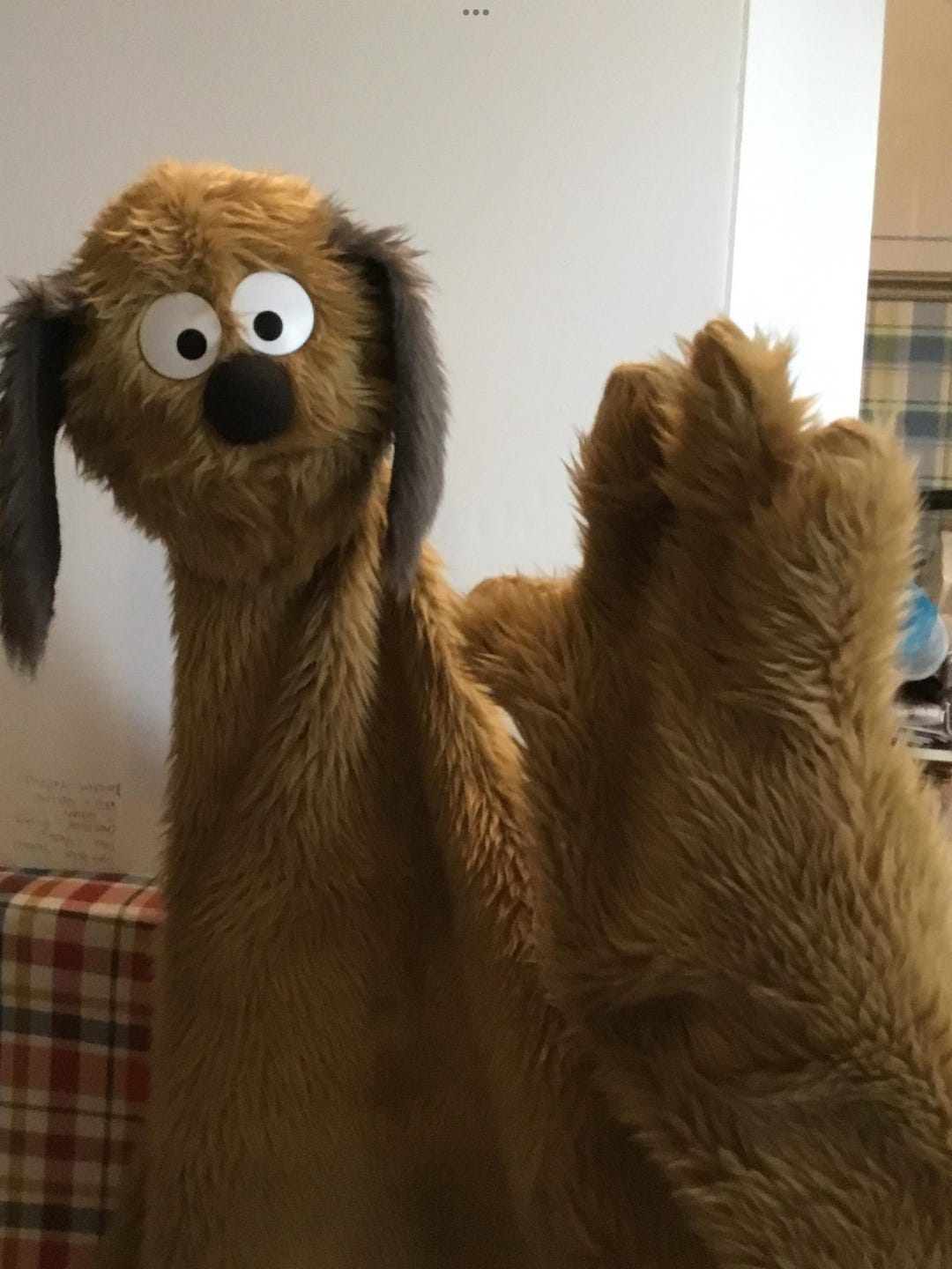 Professional Live Hand Puppet Free Shipping - Etsy