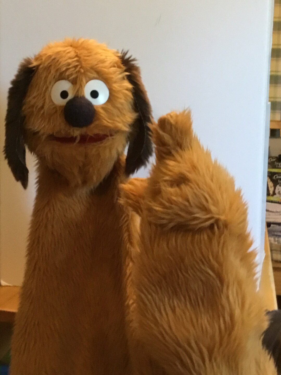 Professional Live Hand Puppet - Etsy