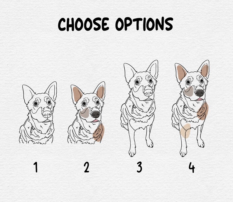 Custom Line Drawing, Pet Outline Drawing From Photo, Pet Sketch Line ...