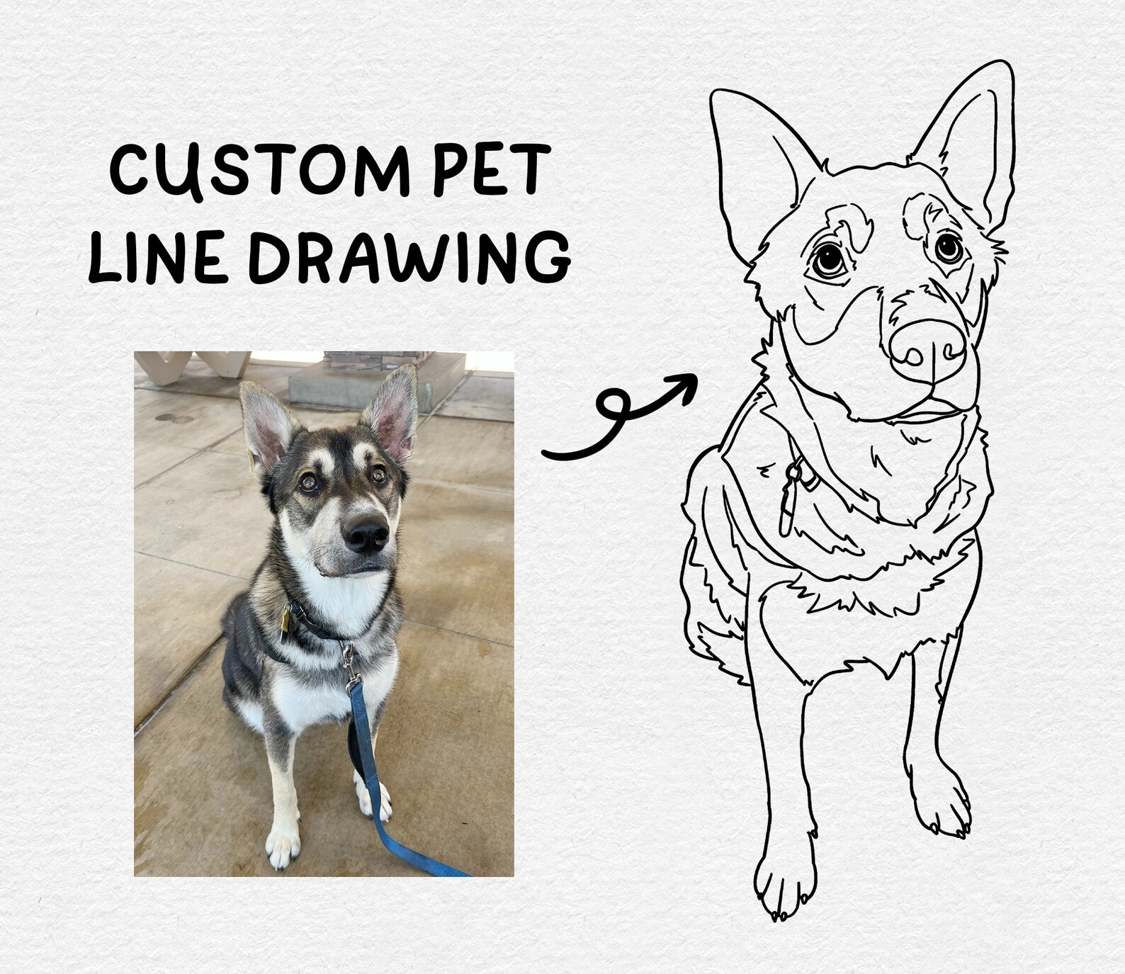 Custom Line Drawing, Pet Outline Drawing From Photo, Pet Sketch Line ...