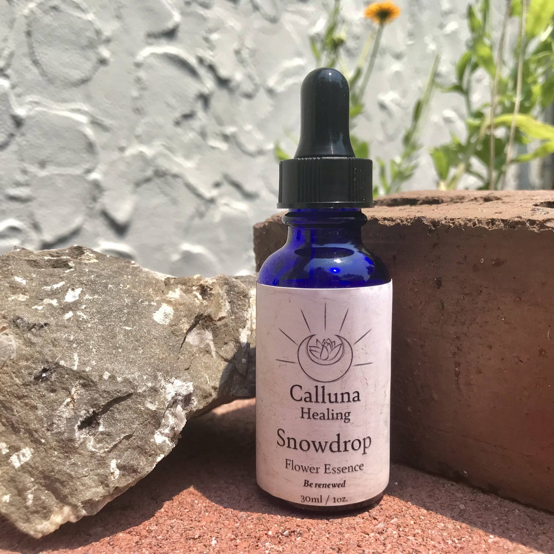 Snowdrop // Flower Essence // Energetic Healing - Etsy