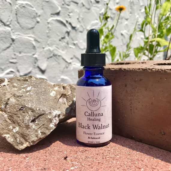 Black Walnut // Flower Essence // Energetic Healing | Etsy