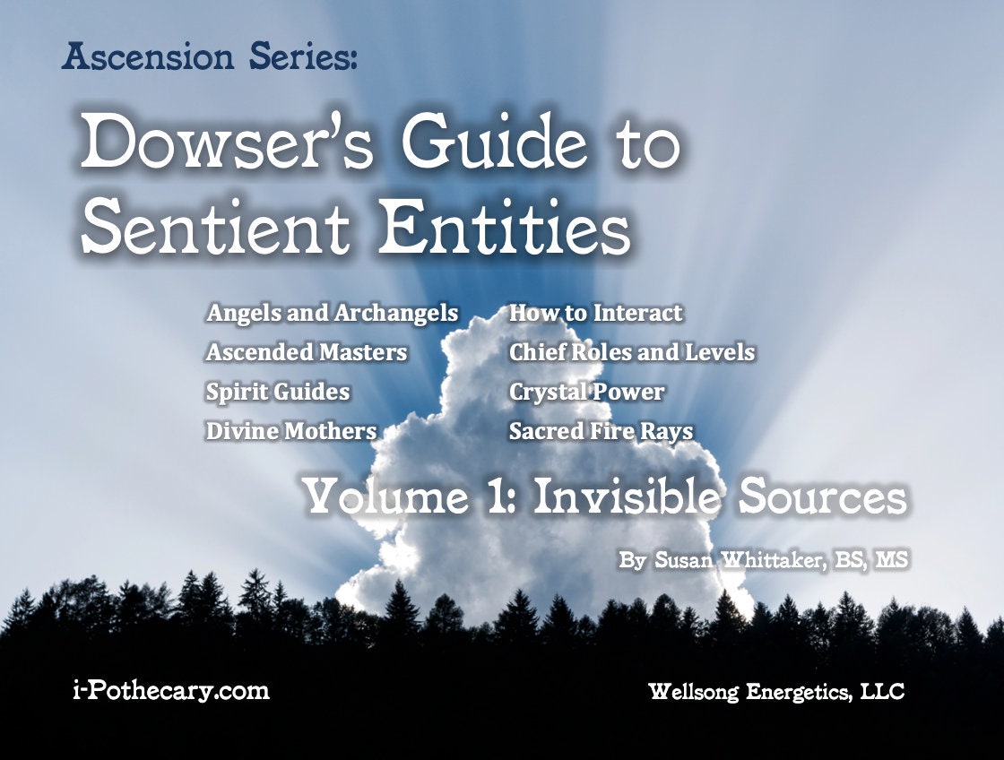 Dowser's Guide to Sentient Entities, Volume 1: Invisible Sources - Etsy