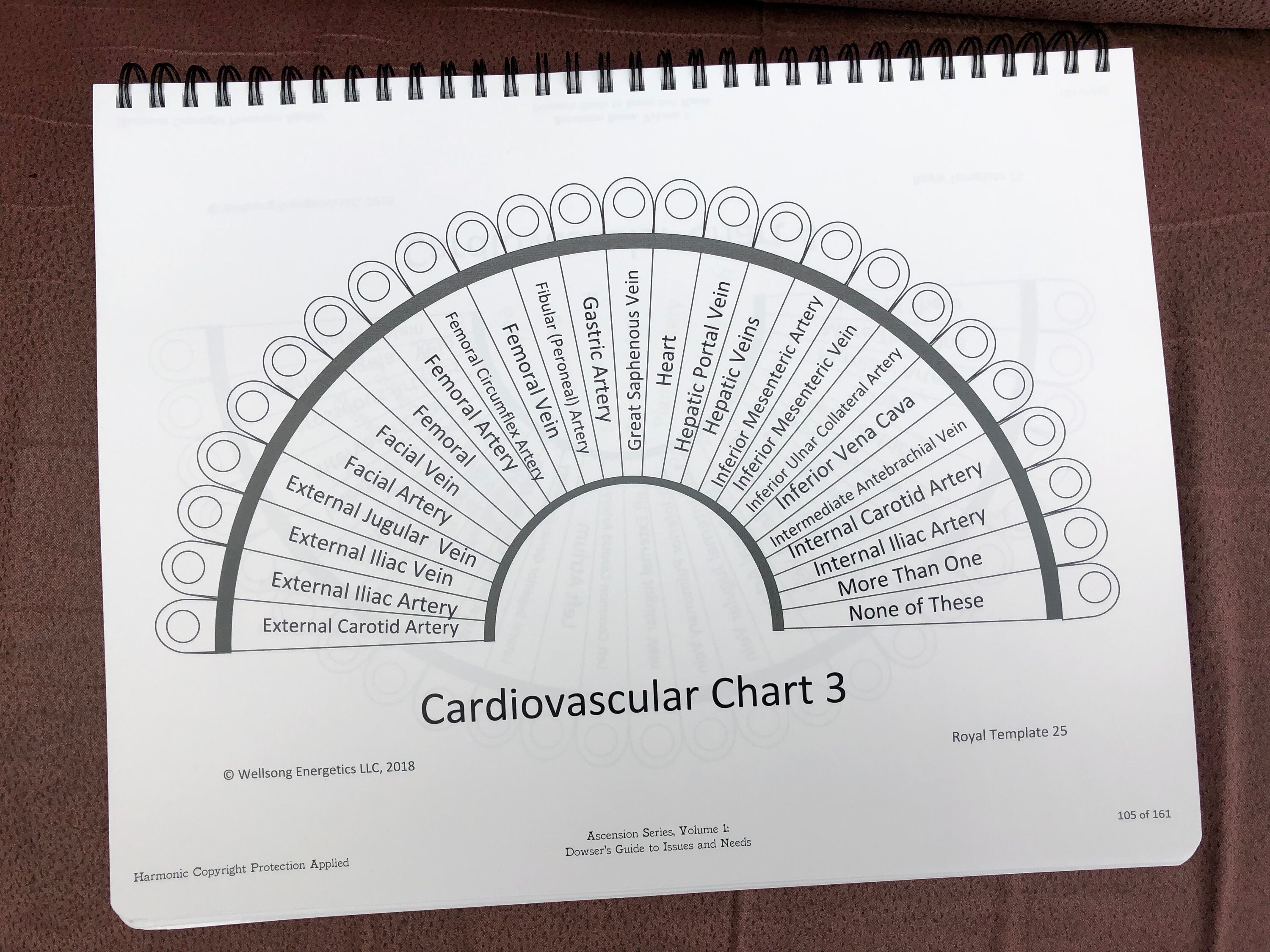 Dowsing Docs, Volume 1, Dowsing Charts for General Practice - Etsy