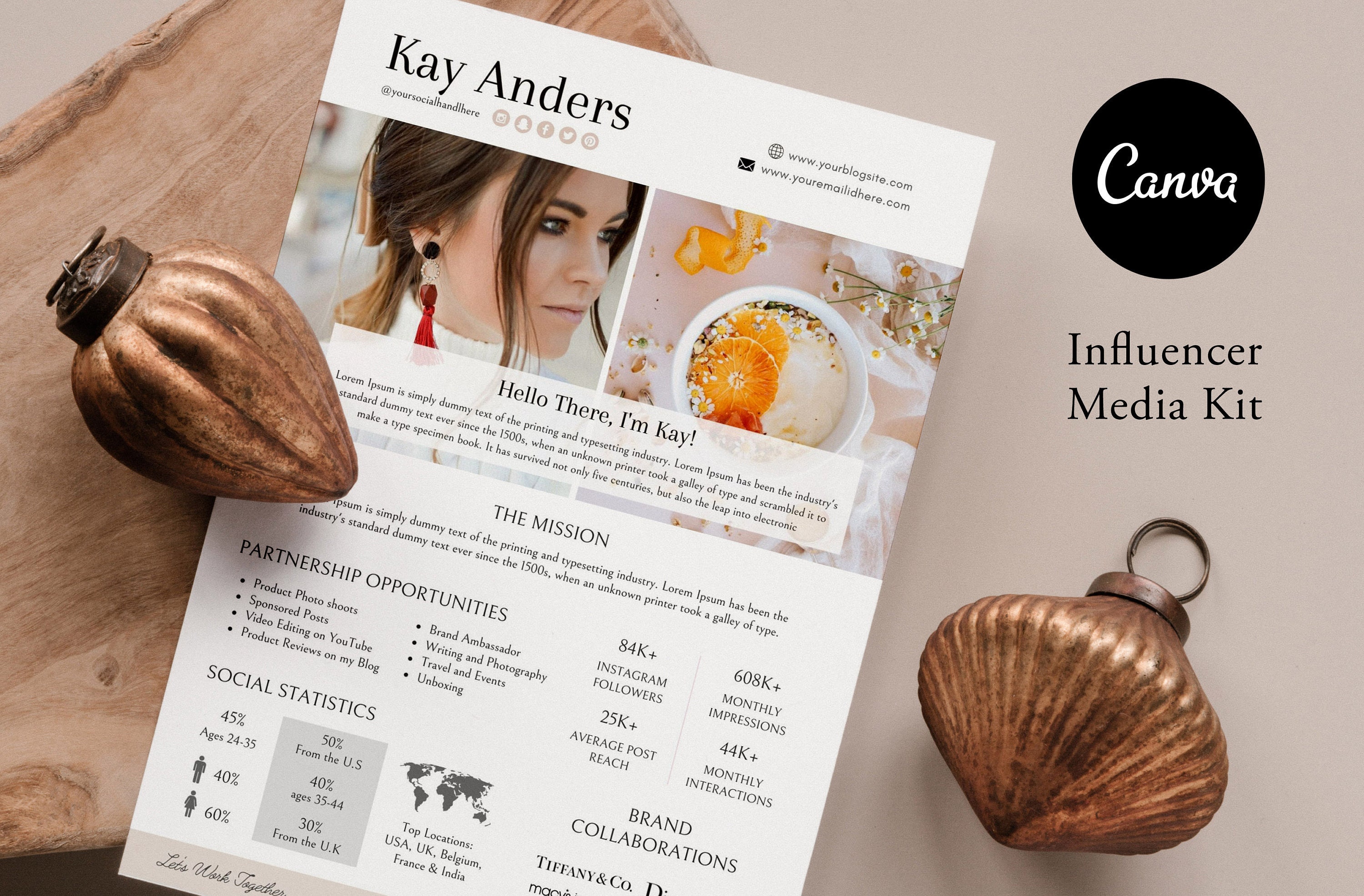 Influencer Media Kit, Media Kit Canva, Media Kit Template, Social Media ...