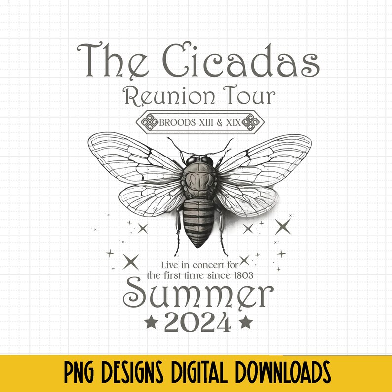 The Cicadas Reunion Tour PNG, Cicadas Invasion Summer Scream 2024 ...