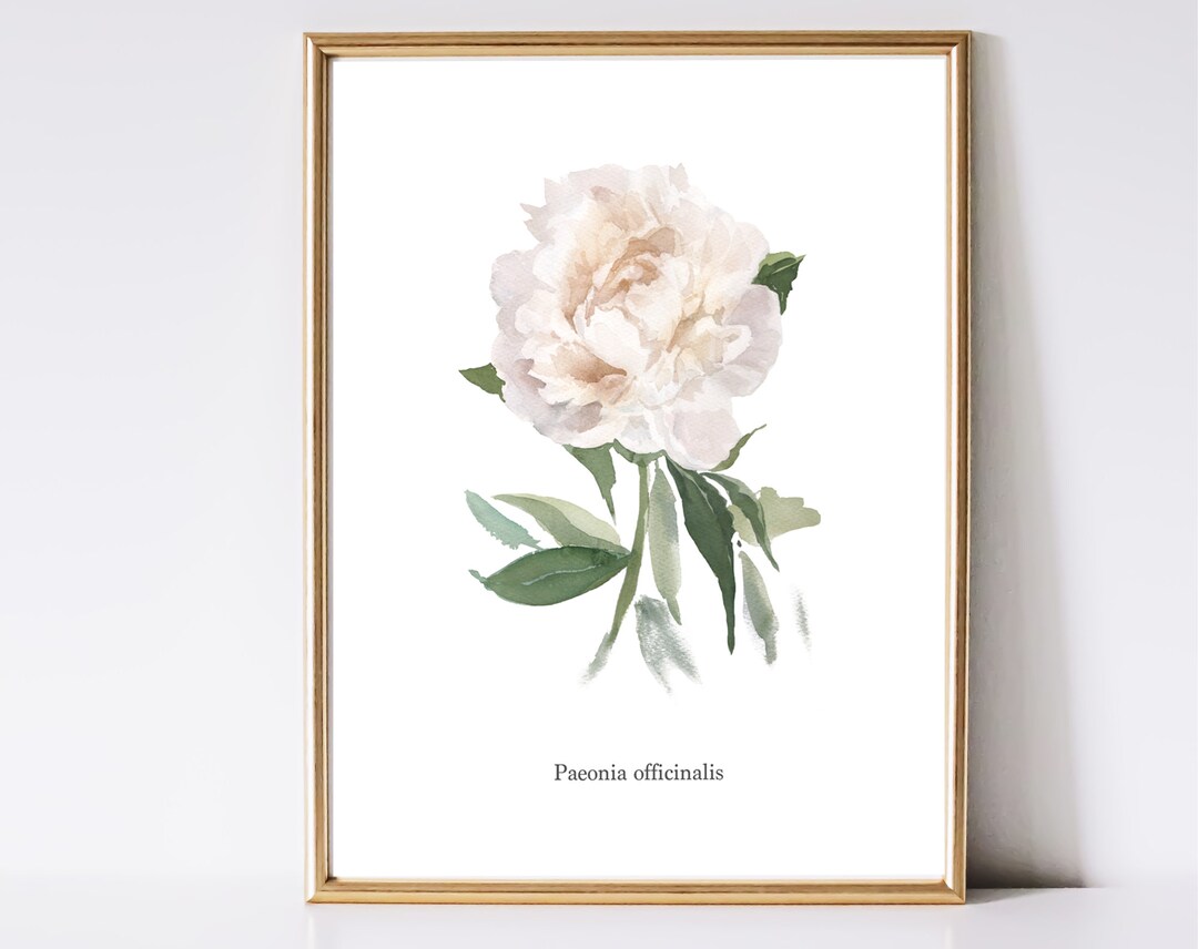 Peony Wall Art, Peony Painting, Peonies Print, Peony Art, Peony Artwork ...