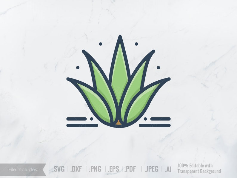 Agave Svg, Agave, Herbal Svg, Herbal, Alovera Svg, Plant, Aloe Vera ...