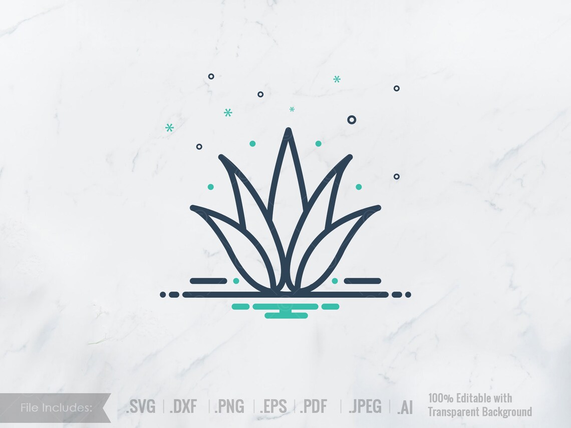 Agave Svg, Agave, Herbal Svg, Herbal, Alovera Svg, Plant, Aloe Vera ...