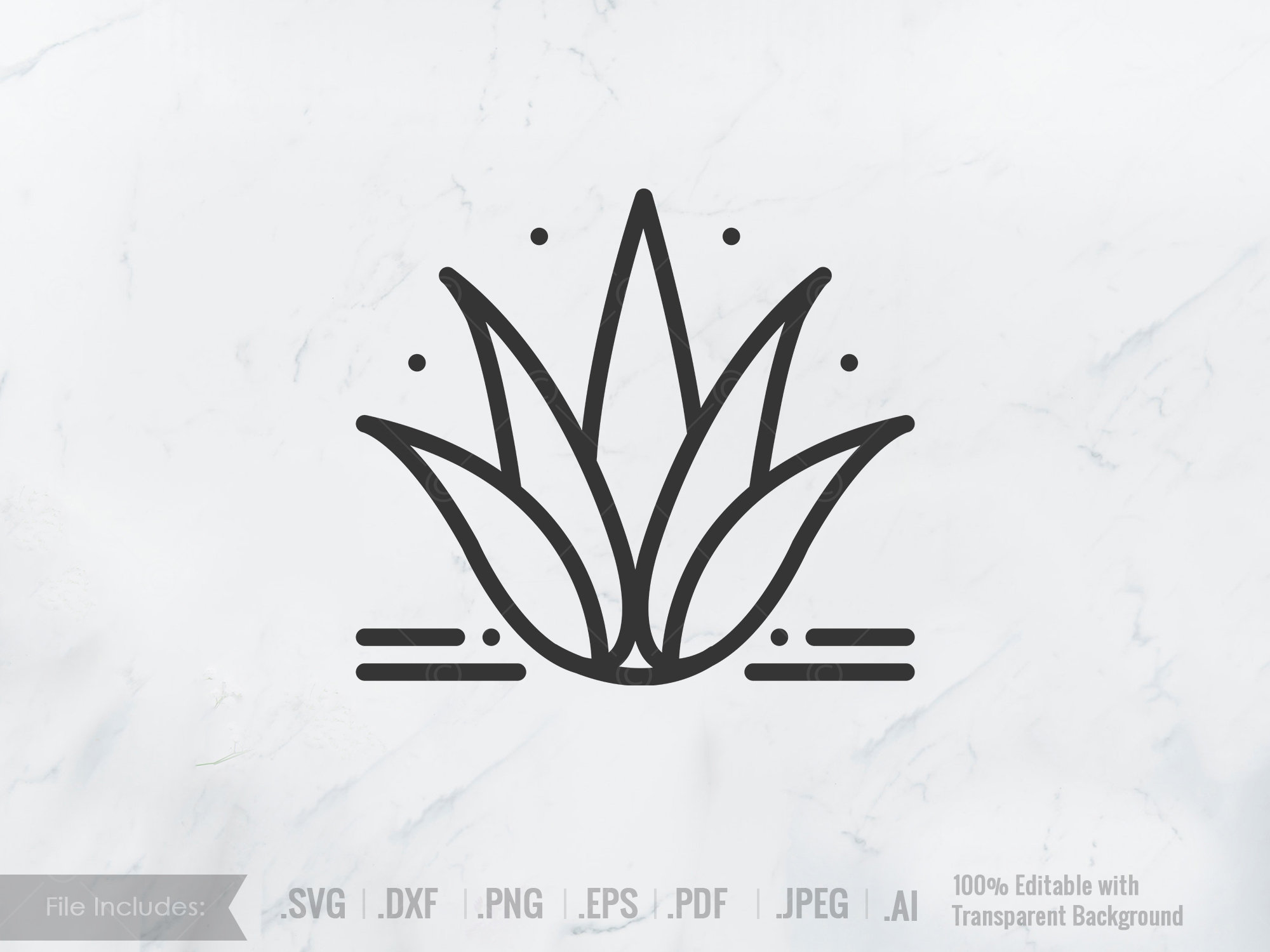 Agave Svg, Agave, Herbal Svg, Herbal, Alovera Svg, Plant, Aloe Vera ...