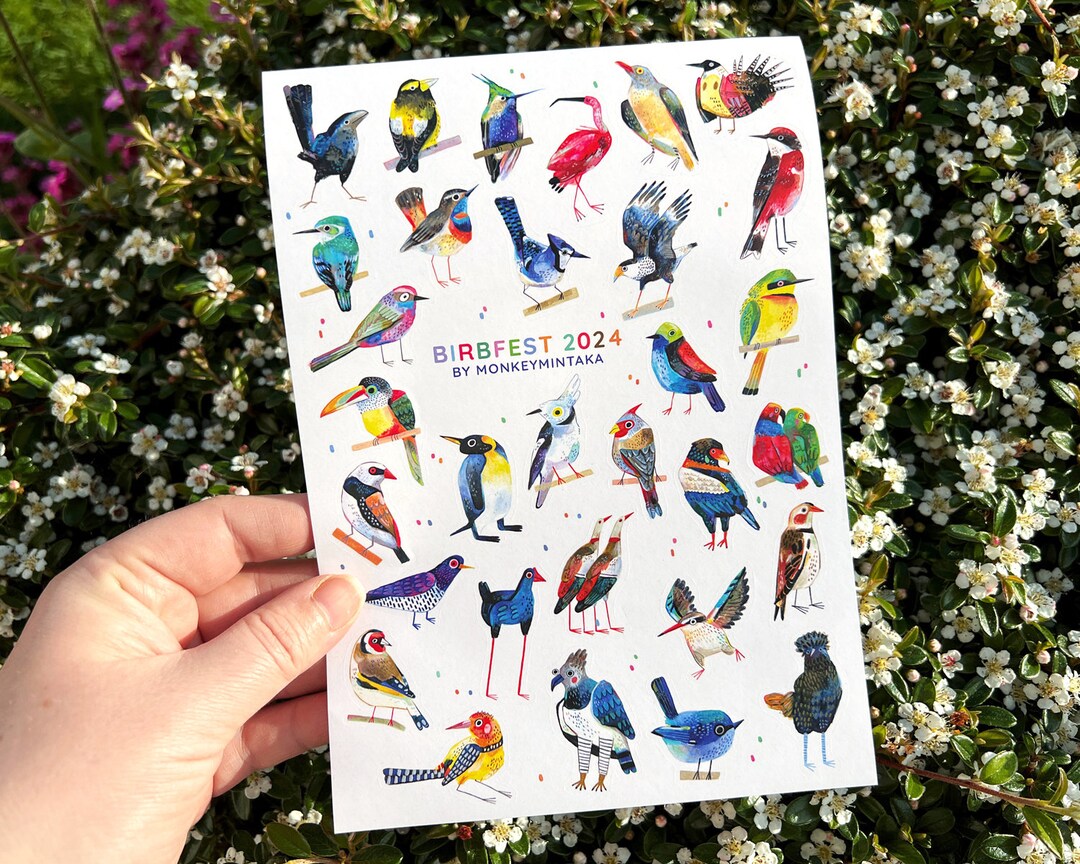 Birbfest 2024 A5 Sticker Sheet – Hand-drawn Bird Stickers– Nature ...